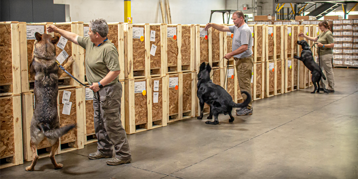 K9 all-cargo screening in Detroit – are you ready? - CFS